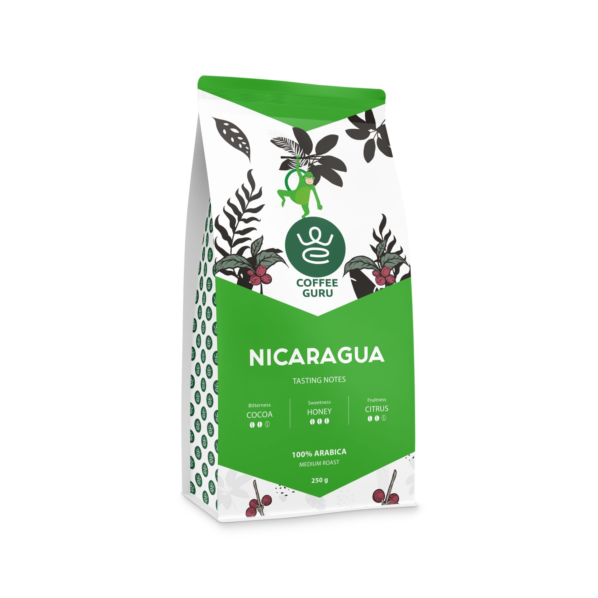 Kafijas pupiņas Coffee Guru Nikaragva, 250g - CoffeeGuru